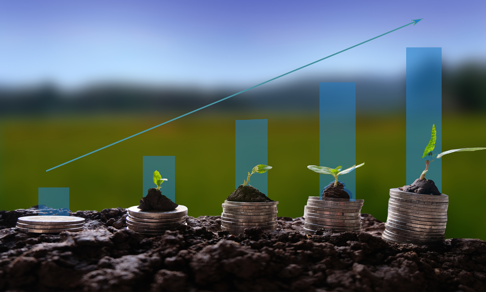 The Case For Passive Investment Management - Moore Dixon